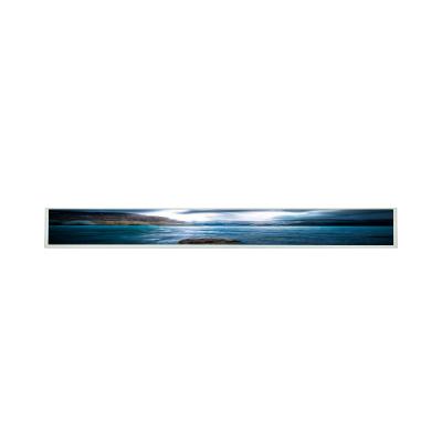 China G280HVN01.0 28.0 inch tft lcd display module 1920×360 lcd display screen for sale