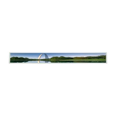 China 28.6 inch LCD panel For LG LD290EJE-FPA1 LCD screen Floor standing display panel for sale