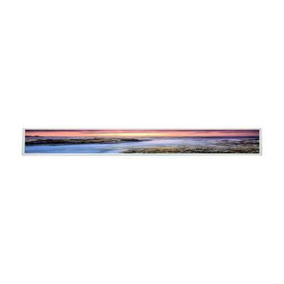 China 28.6 inch LCD panel For LG LD290EJN-FPN1 LCD screen Floor standing display panel for sale