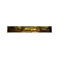 China LSI290LN01 29 Inch a-Si TFT-LCD LCM display module for sale