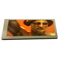 China 6.5 inch stretched bar lcd Screen Display TCG066AALPAANN-GN00 for sale