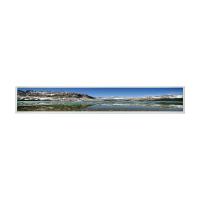 China AUO LCD Screen Panel P420IVN03.0 42.0 inch 1920(RGB)×480 tft lcd display module for sale