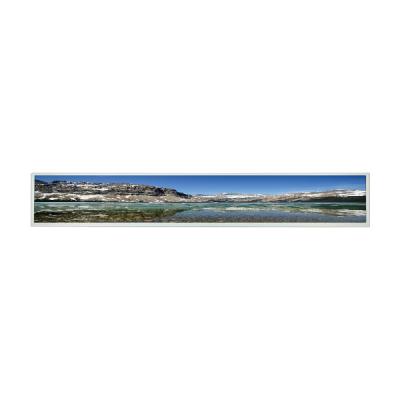 China AUO LCD Screen Panel P420IVN03.0 42.0 inch 1920(RGB)×480 tft lcd display module for sale