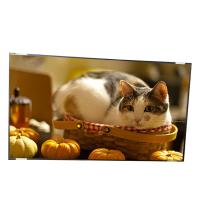 China 42.0 inch tft lcd display module P420HW02 V0 LCD Screen Panel for Digital Signage for sale