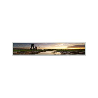 China 19.2 inch 1920x360 T-55604D192J-LW-A-AAN 20 pins stretched bar lcd Screen Display Replacement for sale