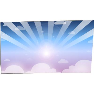 China 55.0 Inch IPS LCD Display LTI550HN16 A-Si TFT-LCD Advertising LCD Video Wall Module for sale