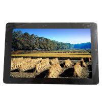 China 10.1 INCH 1280*800 149PPI B101EAN01.7 34 pins LCD SCREEN for sale