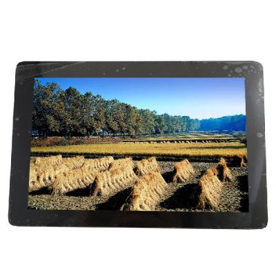 China 10.1 INCH 1280*800 149PPI B101EAN01.7 34 pins LCD SCREEN for sale