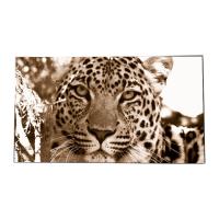 China Original LG LCD Video Wall Panels LD550DUS-SEF1 1920*1080 Resolution for sale