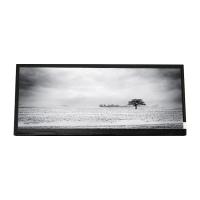 China 50pins Connector LCD Screen Display Panel For Automotive Display for sale