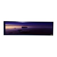 China Original HSD088KPW1-A10 8.8 Inch 1920*480 Full View Stretched Bar LCD Screen for sale