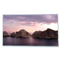 China BOE EV238FHM-N21 1920*1080 FHD Industrial LCD Screen DIsplay 23.8 inch lcd module for medical imaging for sale