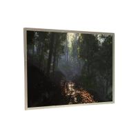China 18.1 INCH Medical Imaging lcd display panel 1280*1024 R181E1-L01 for sale