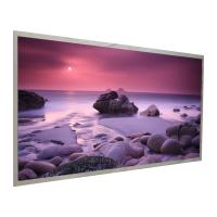 China VVX22F164H00 Lcd Screen Panel 21.5