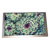 China 6.2 inch HSD062IDW1-B00-C00 lcd panel 800*480 LCD Screen for sale