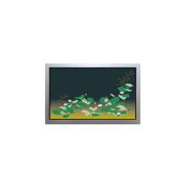 China AA084SD11ADA11 Industrial lcd Screen Module 8.4 Inch 800*600 LCD Touch Panel Display for sale