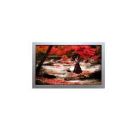 China AA084XD01ADA11 display TFT LCD screen panel 8.4 inch 1024*768 LCD Module for sale