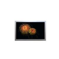 China AA090TB01-DA2 LCD SCREEN display panel 9.0 inch 1280*768 for sale
