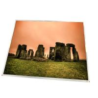 China Hot Sell M190EG01 V3 19.0 inch LCD Panel for AUO for sale