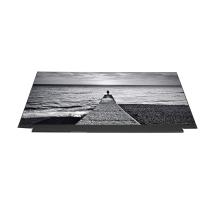 China LQ133M1JW40 13.3 Inch 1920*1080 LCD Screen Panel FHD Customized for sale