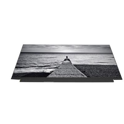 China LQ133M1JW40 13.3 Inch 1920*1080 LCD Screen Panel FHD Customized for sale