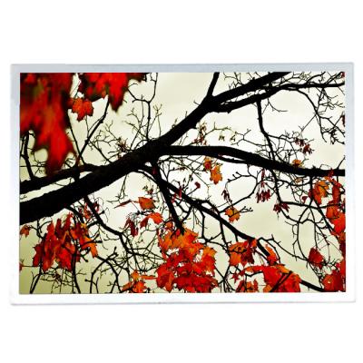 China Size 15.0 inch G150XTN06.B LCD Screen with Industrial for sale