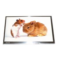China New 7.0 inch C070FW02 V0 TFT Specific Analog RGB 30 pins LCD Module for sale