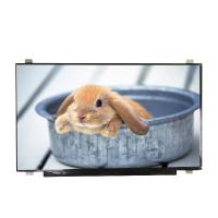 China Supply B173HAN01.4 size 17.3 inch Matte Hard coating LCD Screen for sale