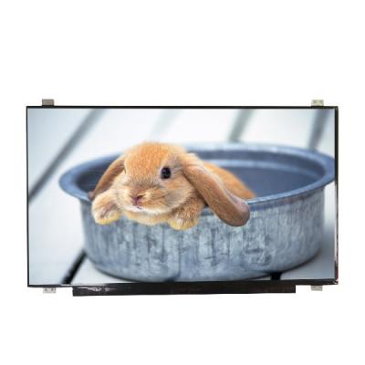 China Supply B173HAN01.4 size 17.3 inch Matte Hard coating LCD Screen for sale