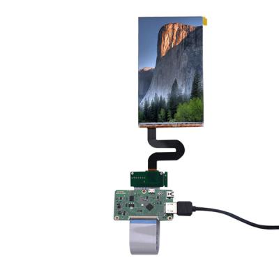China LS063R1SX01 6.3 inch LCD Display Module 60 pins with PCAP Touch Screen for sale