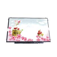 China RGB 1680*1050 128PPI B154SW02 V1 size 15.4 inch LCD Module for sale
