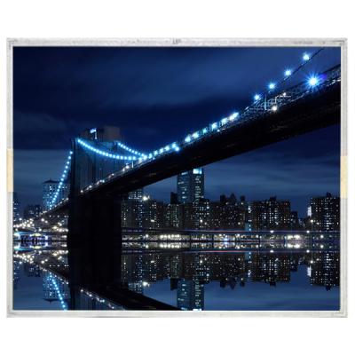 China LB209F1-A1DM 20.9 inch 2048*2560 LCD Screen Module for sale