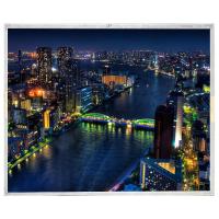 China LB310FTM-SPA1 LCD Display Module 31.0 inch 4200*2800 Medical LCD Panel for sale