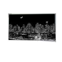 China Original 29.0 inch 1920*540 LCD Display LD290EJY-NRA1 for sale