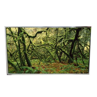 China LD490EPY-SHP1 51 Pins 1920*1080 60Hz LCD Screen for Digital Signage for sale