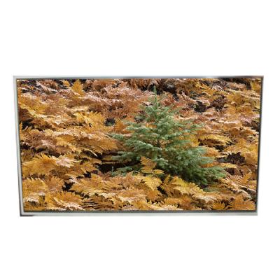 China 49.0 inch 3840*2160 LD490EQG-FNA4 Lcd screen for Digital Signage for sale