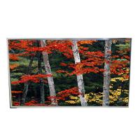 China LD980DQL-SMA1 98.0 Inch Original LCD 3840*2160 LCD Screen Display for sale