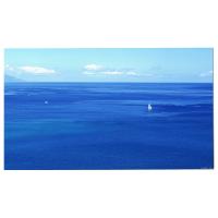 China LM238WF5-SSE1 23.8 in Touch Screen LCD Display For HP 24-F1060 24-F0001NS for sale