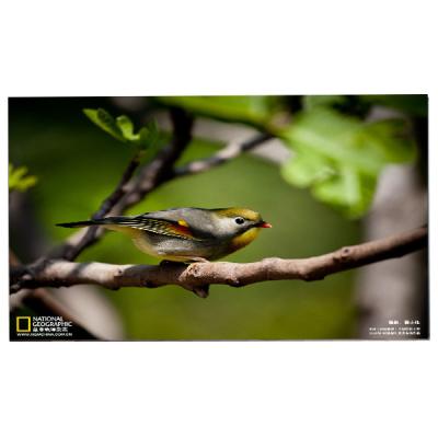 China LM238WF5-SSF1 23.8 inch FHD IPS Touch Screen For HP for sale