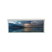 China AV078ZAE-N10 7.8 inch LCD Panel Screen For Automotive Display for sale