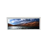 China AV078ZAU-N10 7.8 inch LCD Panel Screen For Automotive Display for sale