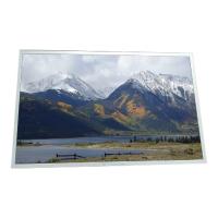 China LM240WU9-SLA1 24.0 Inch LCD Panel TFT IPS Display for sale