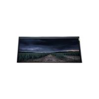 China AV123Z7M-L1M 12.3 inch LCD Screen Display LCD MODULE For BOE for sale