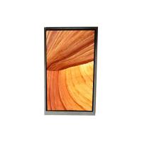 China BA060WV1-100 CELL 6.0 inch 480*854 LCD SCREEN For Mobile Phone for sale