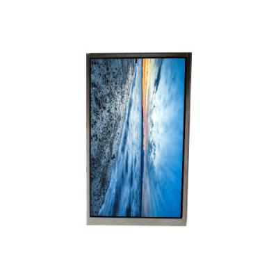 China BS052FHM-A00-6C01 5.2 inch LCD Display  LCD screen PANEL for sale