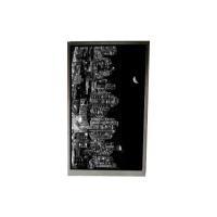 China BS052FHM-L00-6K00 5.2 inch LCD Display  LCD screen PANEL for sale