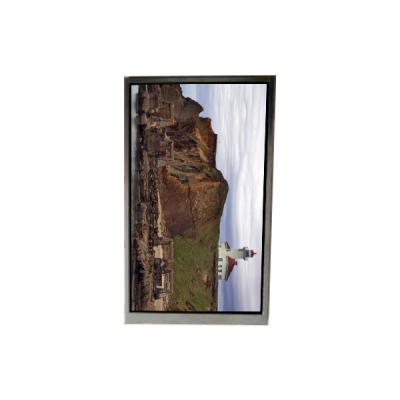 China BS055FHE-E35-6Q00 5.5 inch LCD Display LCD screen PANEL For Mobile Phone for sale