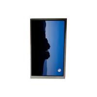 China BS055FHE-EB2-6Q01 5.5 inch LCD Display LCD screen PANEL For Mobile Phone for sale
