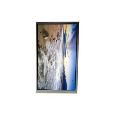 China BS055FHE-EB3-6Q01 5.5 inch LCD Display LCD screen PANEL For Mobile Phone for sale