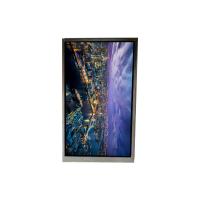 China BS055FHE-L30-6Q00 5.5 inch LCD Display LCD screen PANEL For Mobile Phone for sale